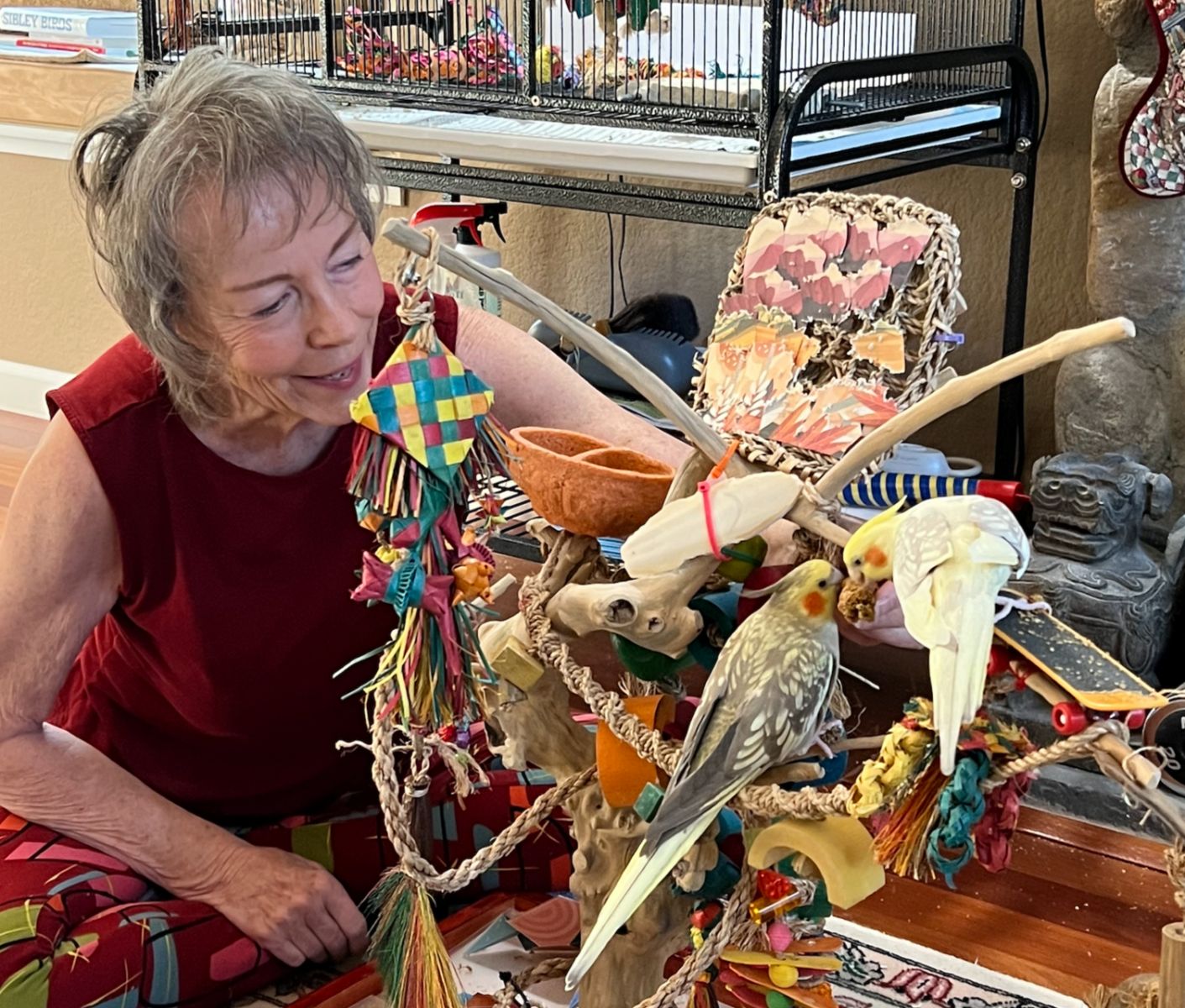 Volunteer of the Year: Valerie Thomas | Mickaboo